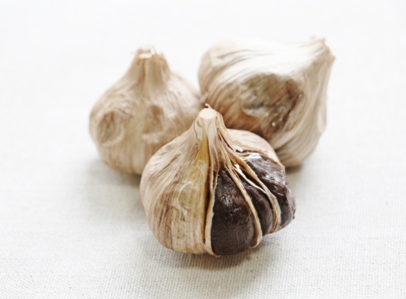 佑成農園 | 株式会社佑成産業 三重県玉城町の総合建設業